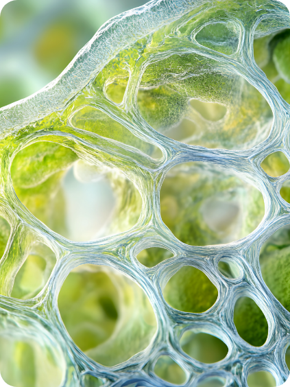 Energy curing - Solindis